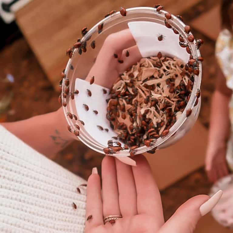 Kristyn Cole | Official Website